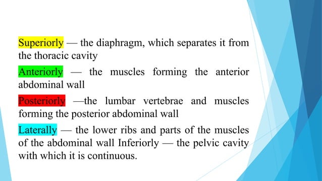Unit I Introduction To Anatomical Terms And Organization Of The Human ...