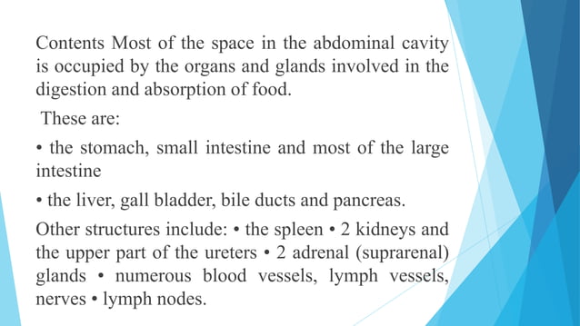 Unit I Introduction To Anatomical Terms And Organization Of The Human ...