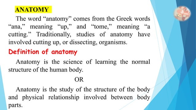 Unit I Introduction To Anatomical Terms And Organization Of The Human ...
