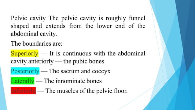 Unit I Introduction To Anatomical Terms And Organization Of The Human ...