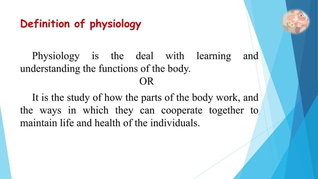 Unit I Introduction To Anatomical Terms And Organization Of The Human ...