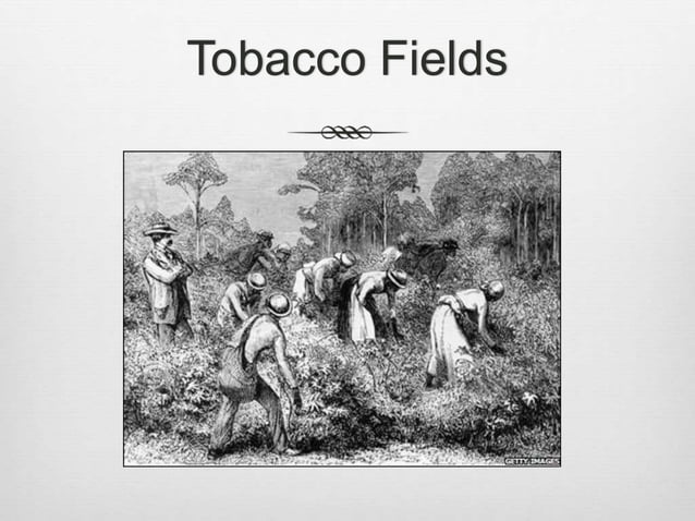 Unit ii origins of slavery ppt | PPTX