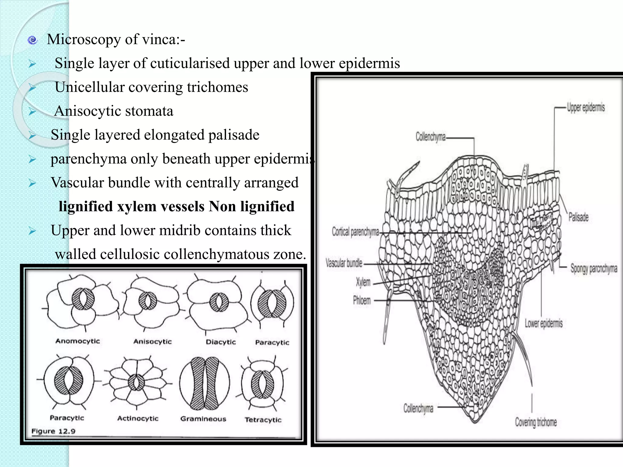 Pharmacognosy II as per PCI syllabus | PPTX