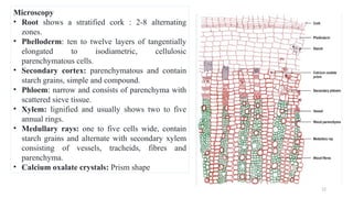 UNIT II PPCII (old).pptx b. pharmacy Sem | PPT