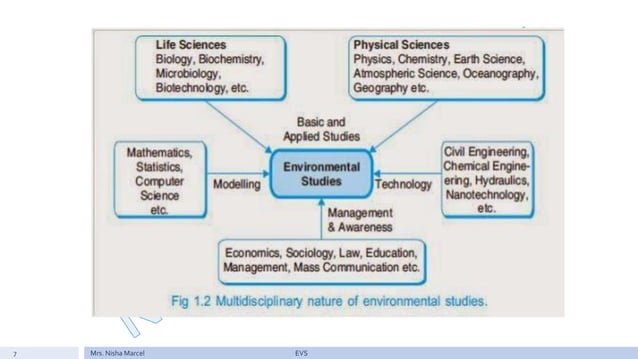MULTIDISCIPLINARY NATURE OF ENVIRONMENT | PDF | Environmental Services Industry | Industries