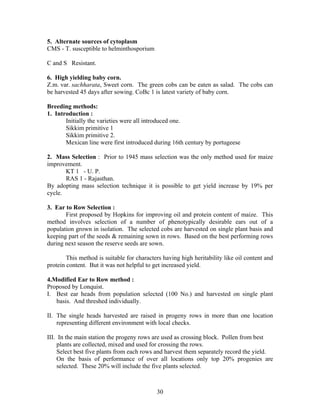 origin of maize | PDF