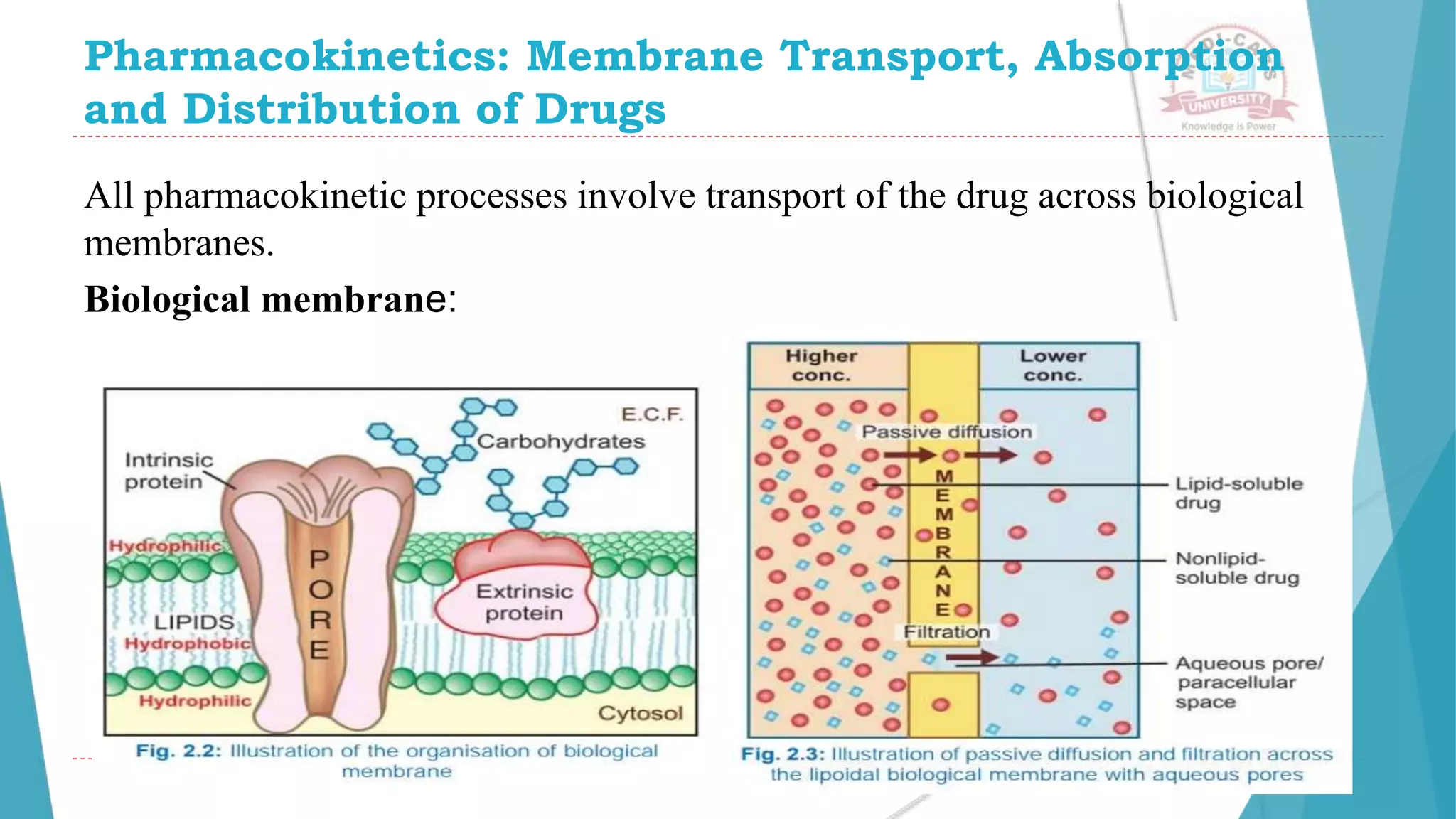 UNIT I Part 2&3.pptx