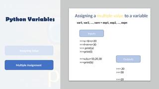 Comprehensive Introduction to Python Programming Language and Its ...
