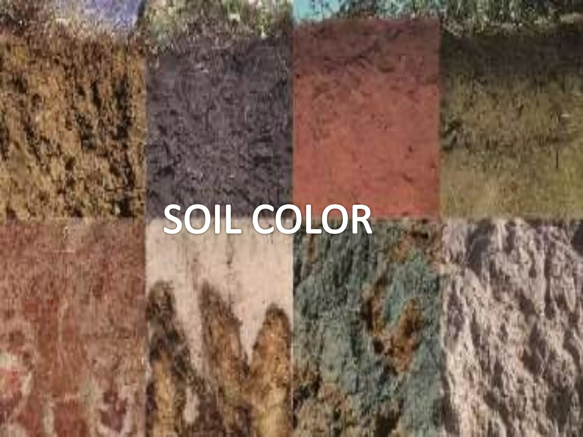 Soil color and soil water | PPTX
