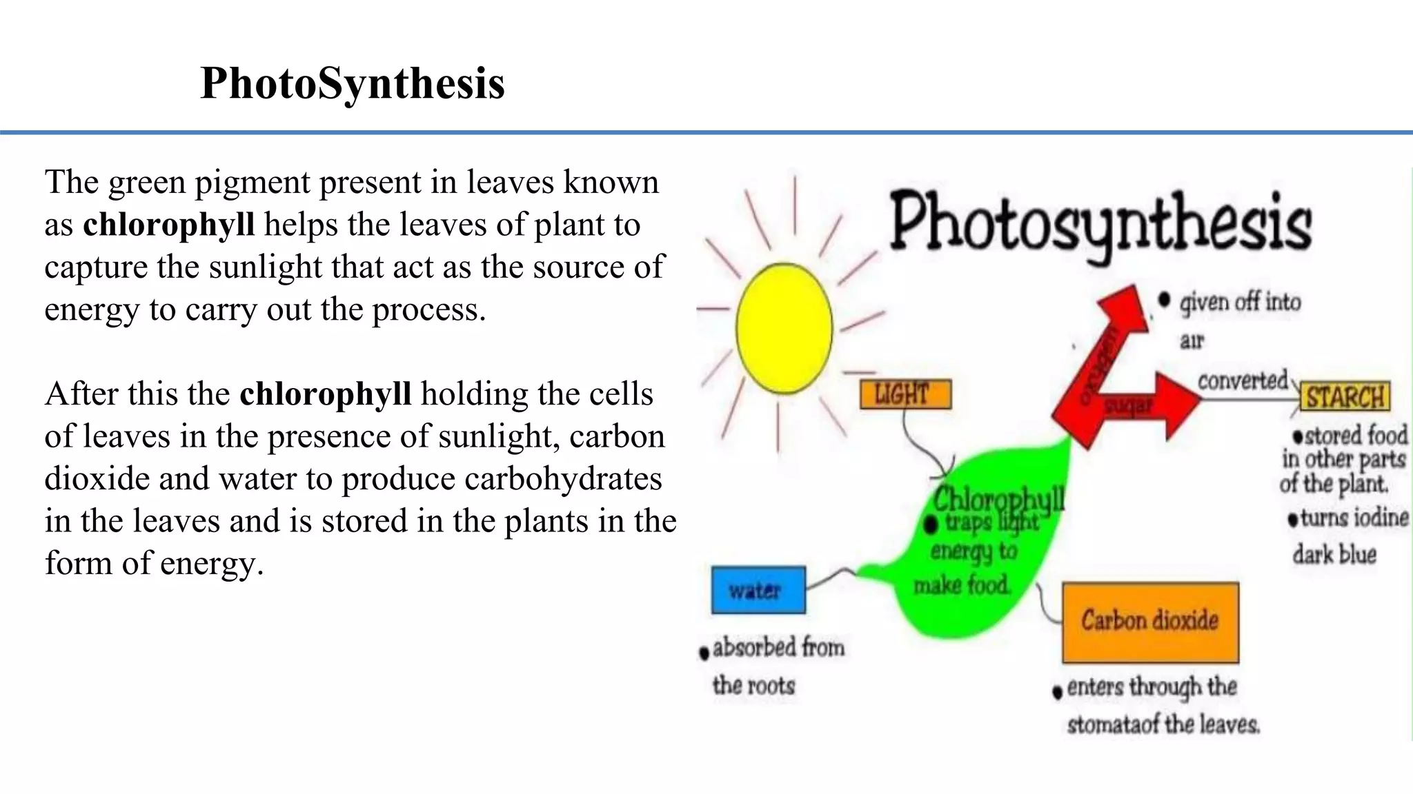 Solar Energy - Introduction | PPTX
