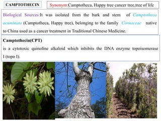 PHYTO-PHARMACEUTICALS.......... | PPTX