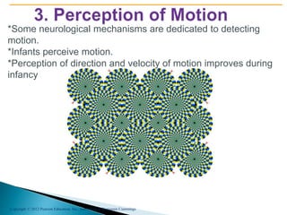 Lifespan Motor Development - Perceptionn | PPT