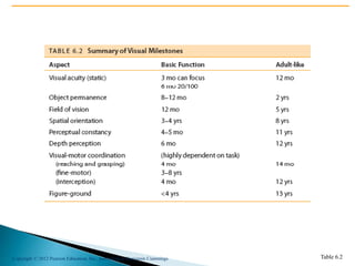 Lifespan Motor Development - Perceptionn | PPT