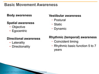 Lifespan Motor Development - Perceptionn | PPT