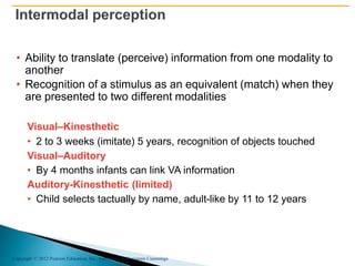 Lifespan Motor Development - Perceptionn | PPT