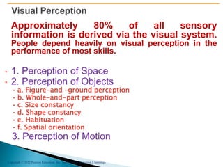 Lifespan Motor Development - Perceptionn | PPT