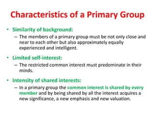 Social Groups | PPTX