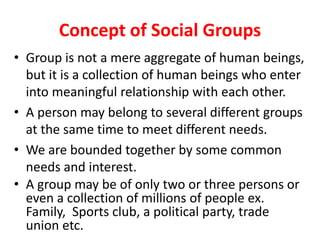Social Groups | PPTX