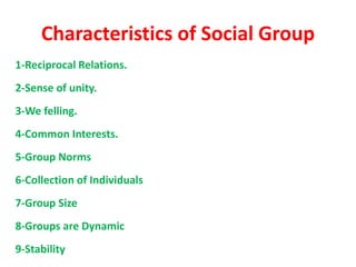 Social Groups | PPTX