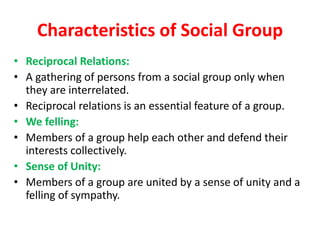 Social Groups | PPTX