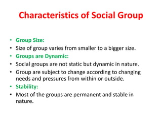 Social Groups | PPTX