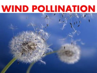 Science Plant World Sexual Reproduction Asexual Reproduction of plant ...