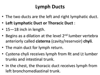 (Unit IX) Lymphatic System .pptx........ | PPTX