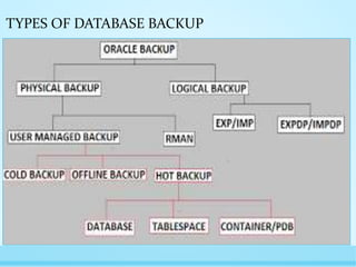 Unit no 5 transation processing DMS 22319 | PPTX