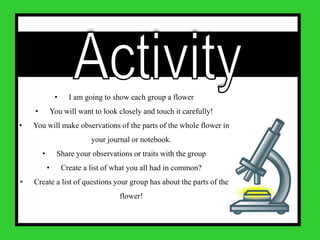 UNIT ONE- Structures of Survival.pptx