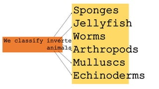 Invertebrate animals 4º | PPT
