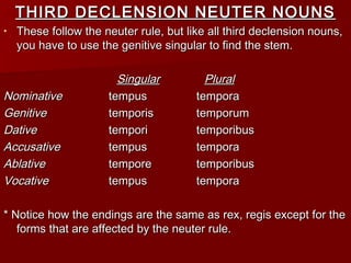 Unit One: The Definitive Noun Powerpoint | PPT