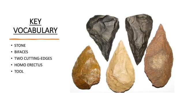 UNIT PREHISTORY QUESTIONS AND VOCABULARY | PPT