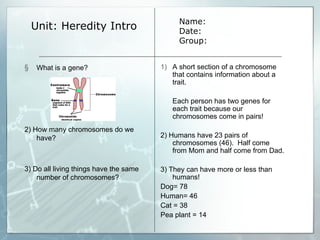 Unit Three Cornell Notes B | PPT