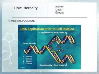 Unit Three Cornell Notes B | PPT
