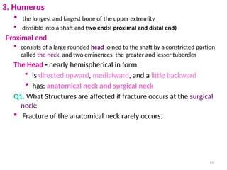 UNIT TWO _UPPER LIMB anatomy for students.pptx