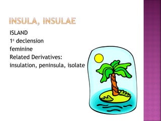 Unit Two Vocabulary Presentation | PPT