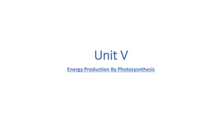 Unit V.pptx