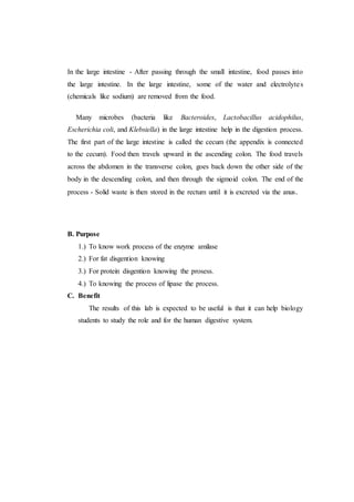 Unit v ( digestive system) | DOCX