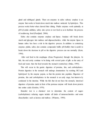 Unit v ( digestive system) | DOCX