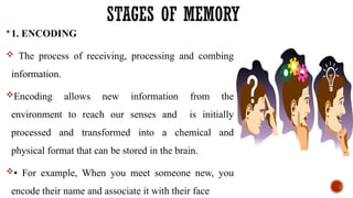 Unit VI. 6. 5. MEMORY, DEFINITION, STAGES OF MEMORY, TYPES OF MEMORY ...