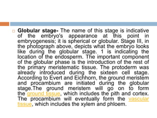 Unit vi embryology | PPTX | Infertility | Reproductive Health