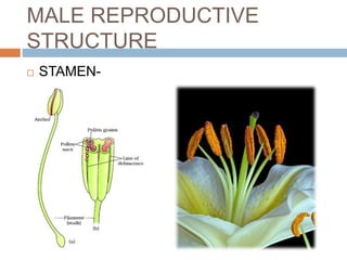 Unit vi embryology | PPTX | Infertility | Reproductive Health