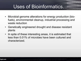 Bioinformatics | PPTX