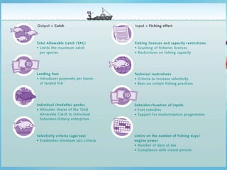 input andoutput control measuresUnit vii | PPTX