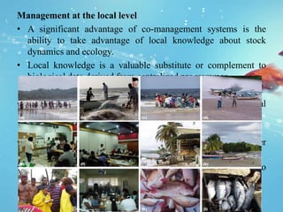 input andoutput control measuresUnit vii | PPTX