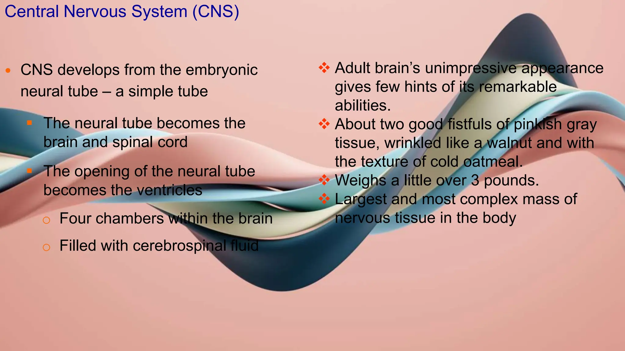 UNIT VII. THE NERVOUS SYSTEM ANATOMY.pptx
