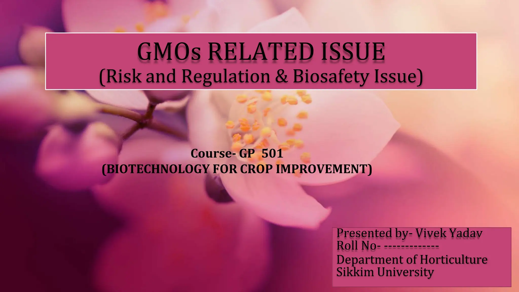 Issues on GMO crops Eyhical and Medical | PPT