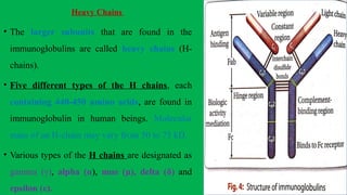 BIOCHEMISTRY 2nd semister unit VIII .. IMMUNOCHEMISTRY.(function ...