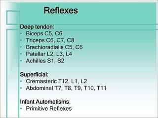 unit VII Pediatric Assessment.ppt