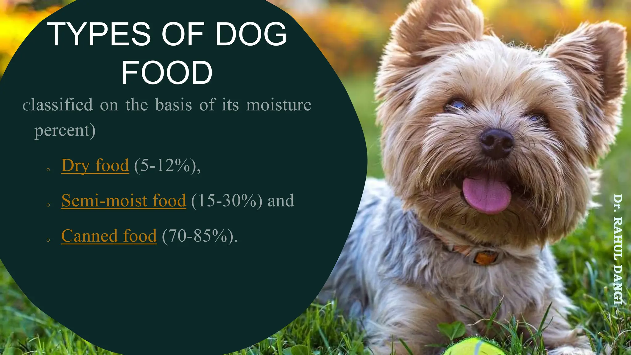 Dog Nutrition.pptx rahul dangi | PPT | Free Download